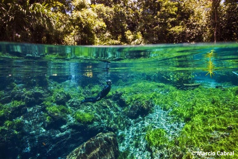 Flutuação na Nascente Azul | Bonito/MS | Natureza Tour